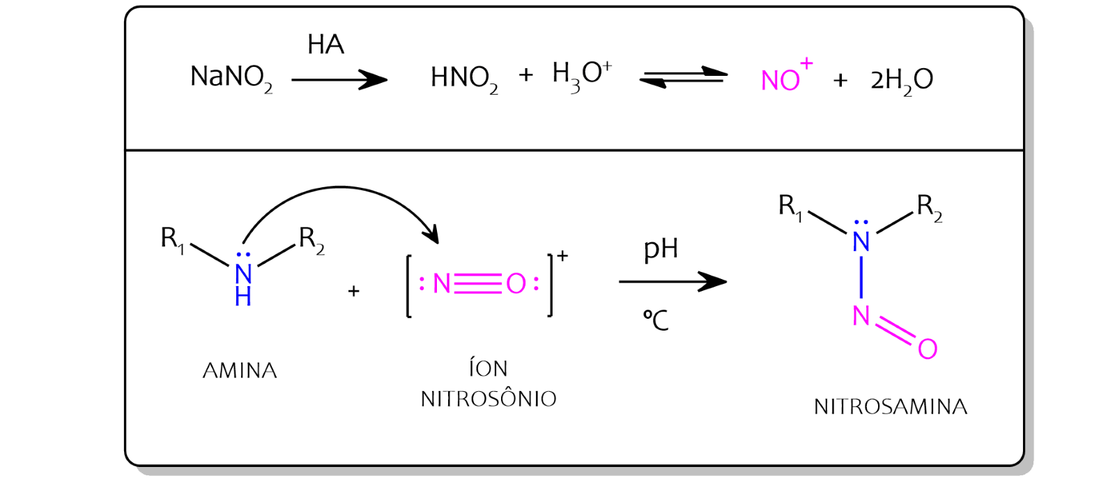 O que são nitrosaminas? - SCIENCE CONSULT | Consultoria Analítica e ...